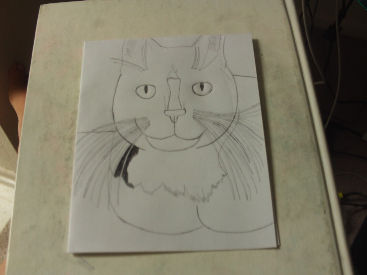 How To Make A Homemade Cat Card - HubPages