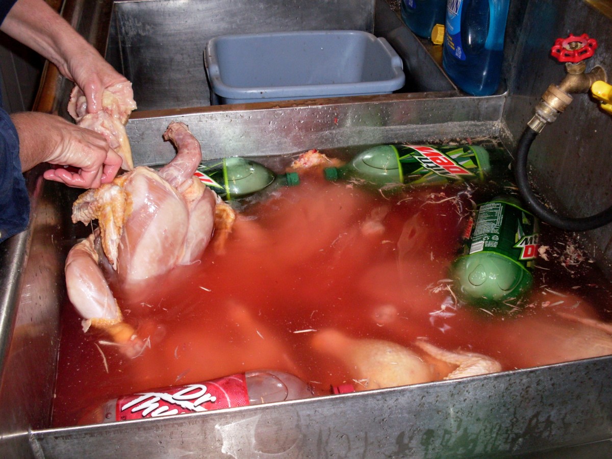 How to Butcher a Chicken, Part 3 - Final Cleaning Process, Packaging ...