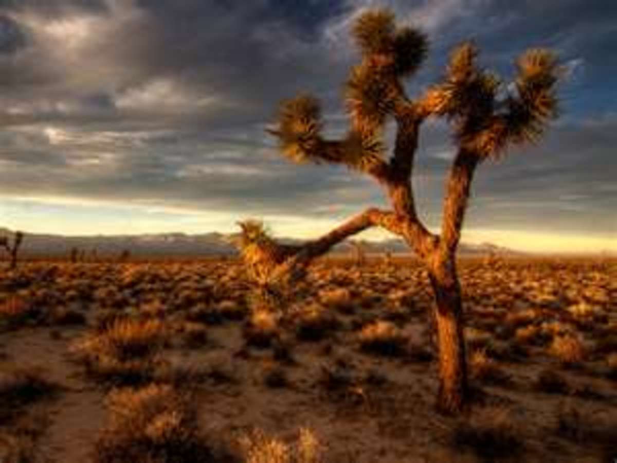 The Five Worst National Parks In USA - HubPages