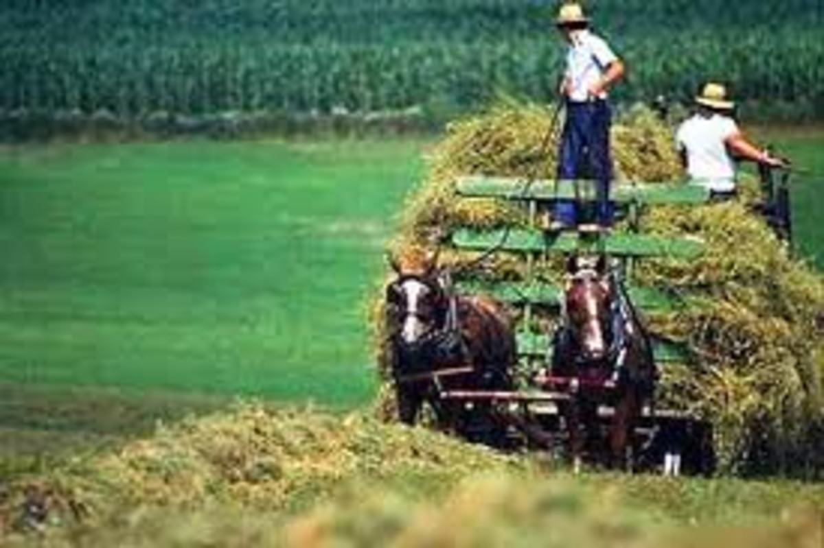 Farming Today Compared to the Old Way - HubPages