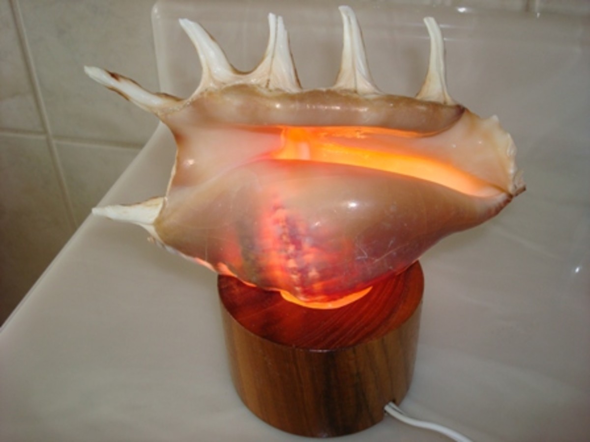 Seashell Lamps and Lampshades - HubPages
