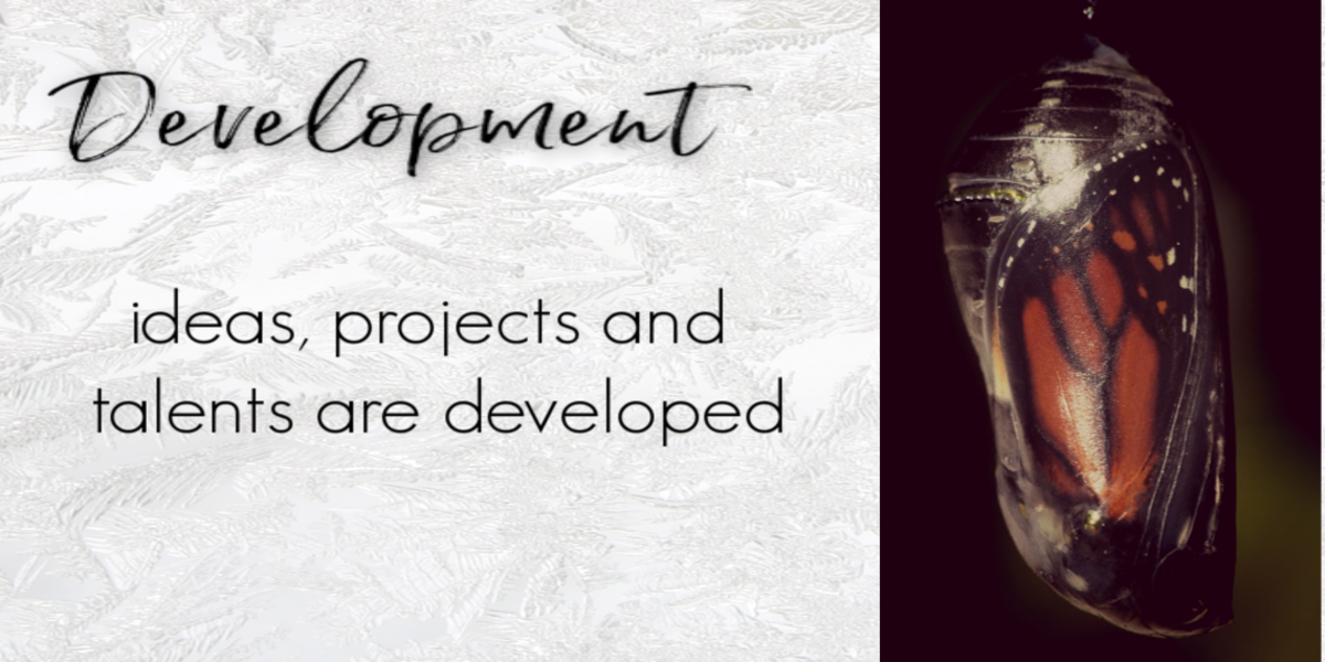 Butterfly: Analogy for a Joyful Dance of Life - HubPages