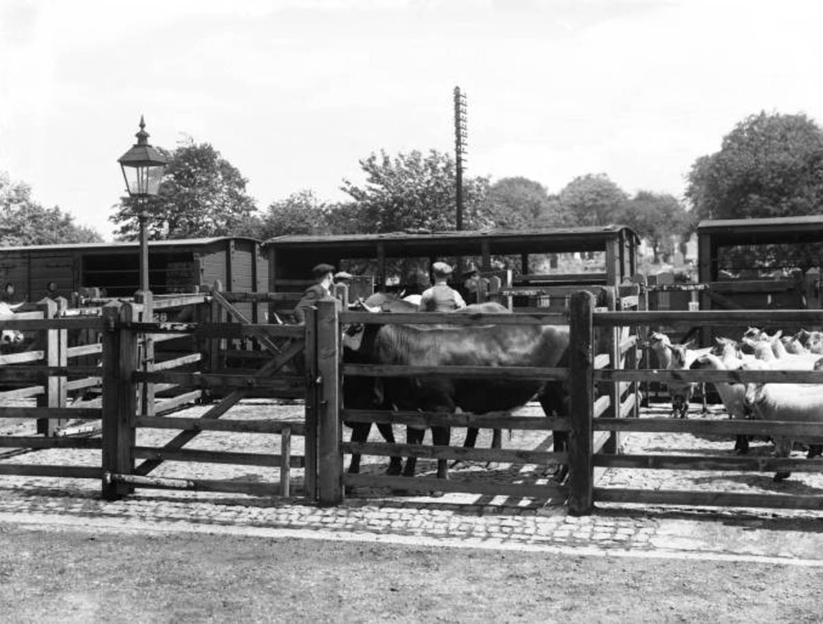 Rites of Passage for a Model Railway - 15: Special Purpose, Freight and ...