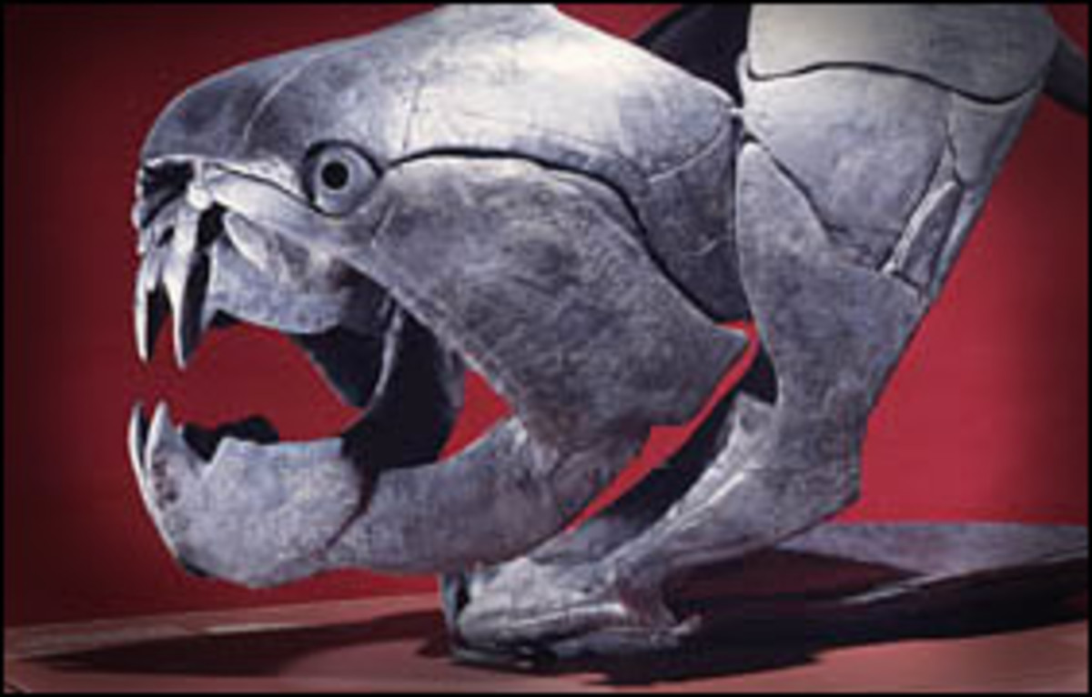 Seven of Earth's Mass Extinction Events - HubPages