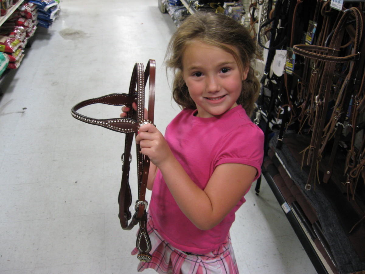 Horse Tack - Kids Saddles and Youth Saddles - HubPages