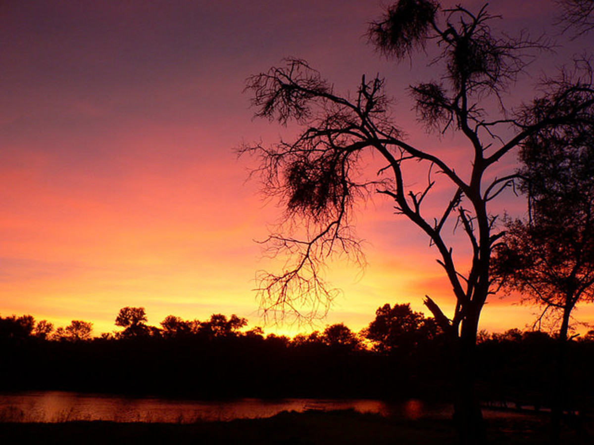 Born in Bulawayo - HubPages