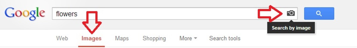 How to Use Google Search by Images - Reverse Photo Search - HubPages