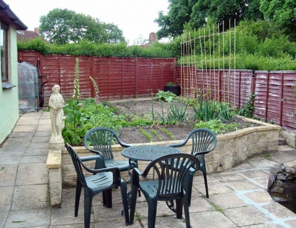Communal Vegetable Gardening With Friends and Neighbours - HubPages