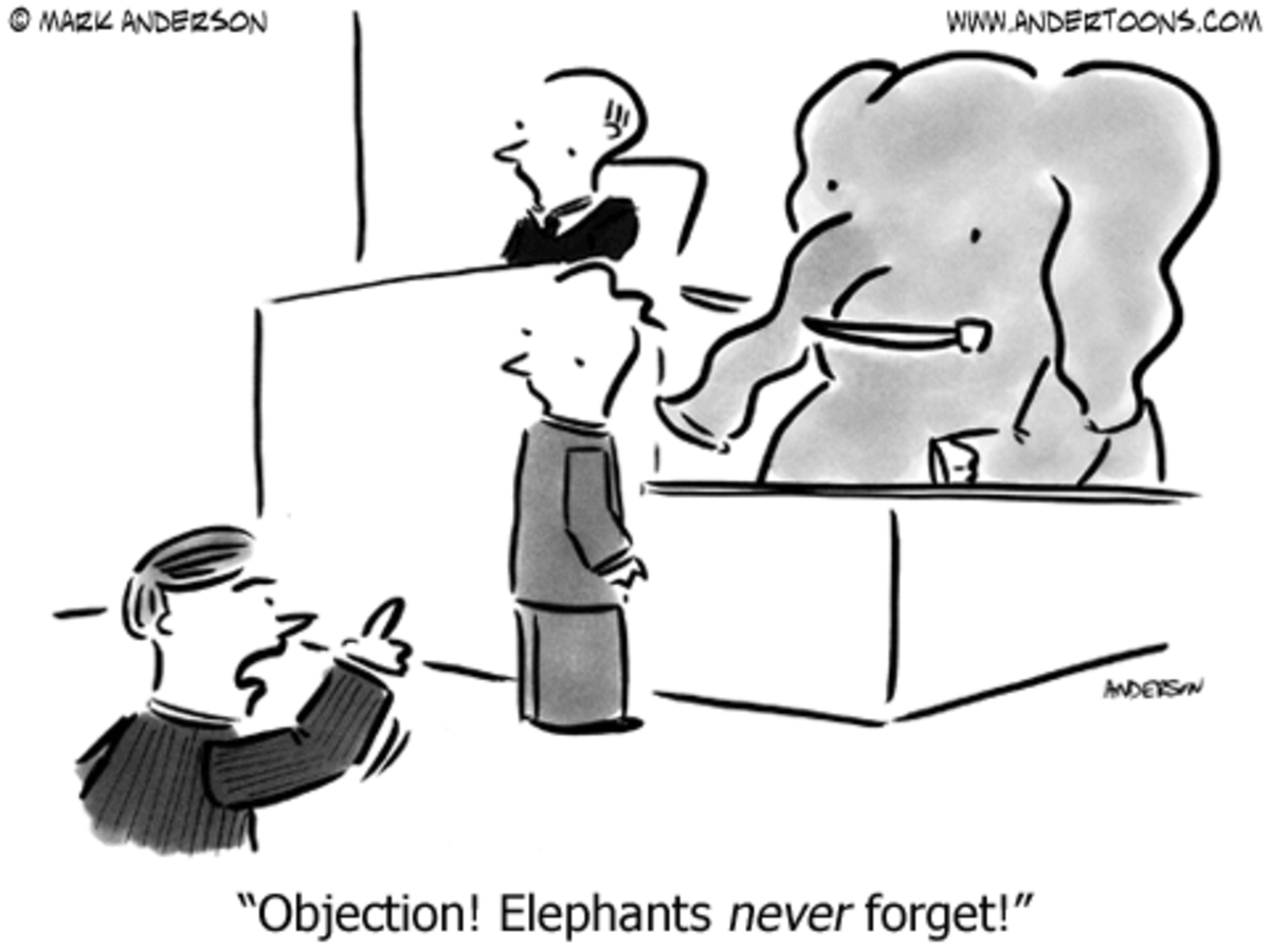 Objections in Court - Use them to Win Your Court Case -with examples ...