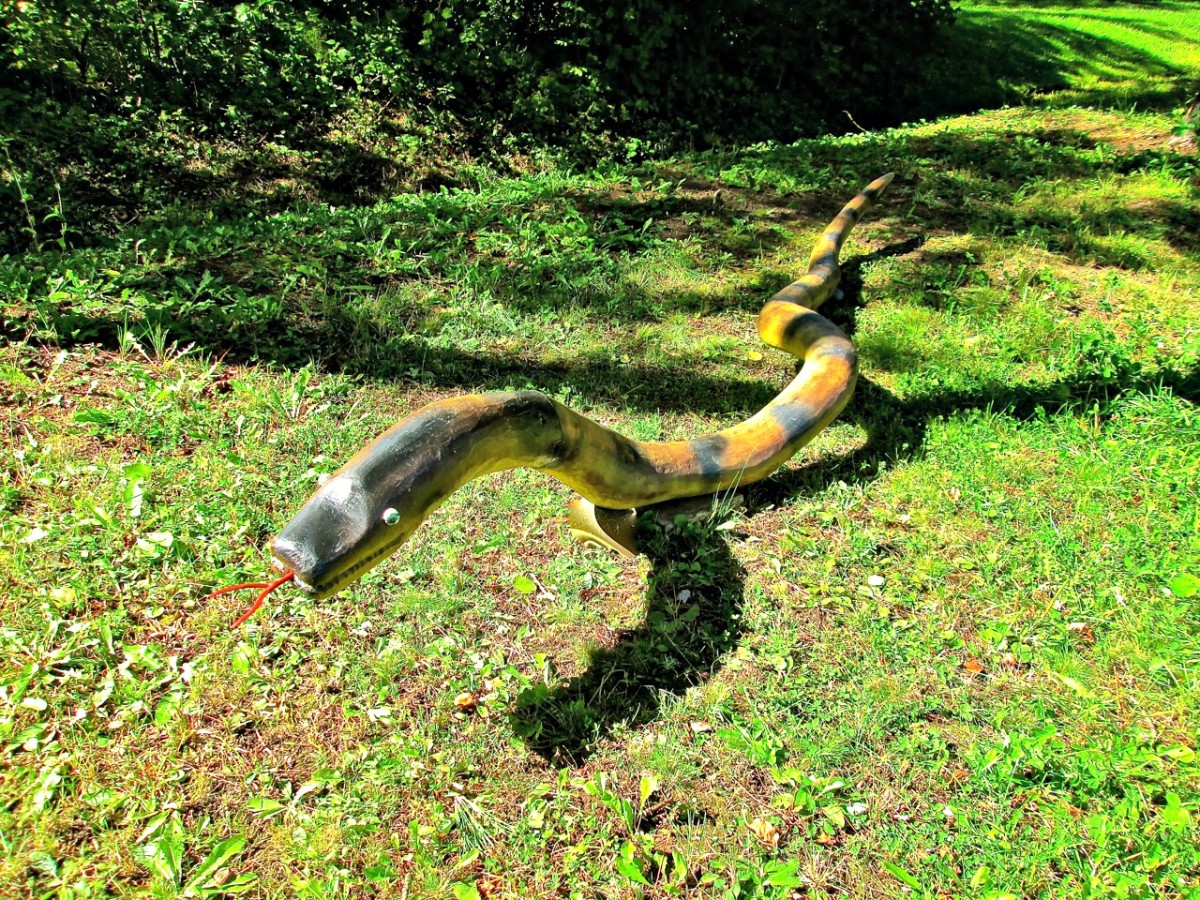 How To Make Wood Anaconda Snakes from a Tree - HubPages