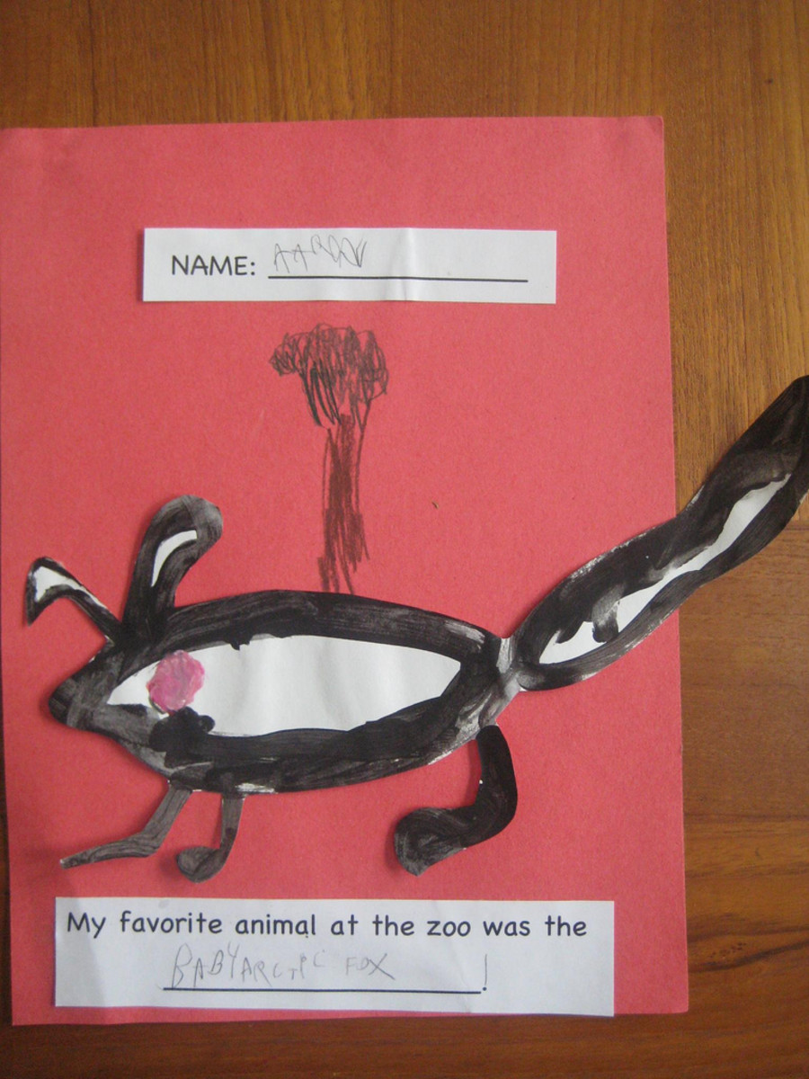 The Truth about the Educational Value of Zoos - HubPages