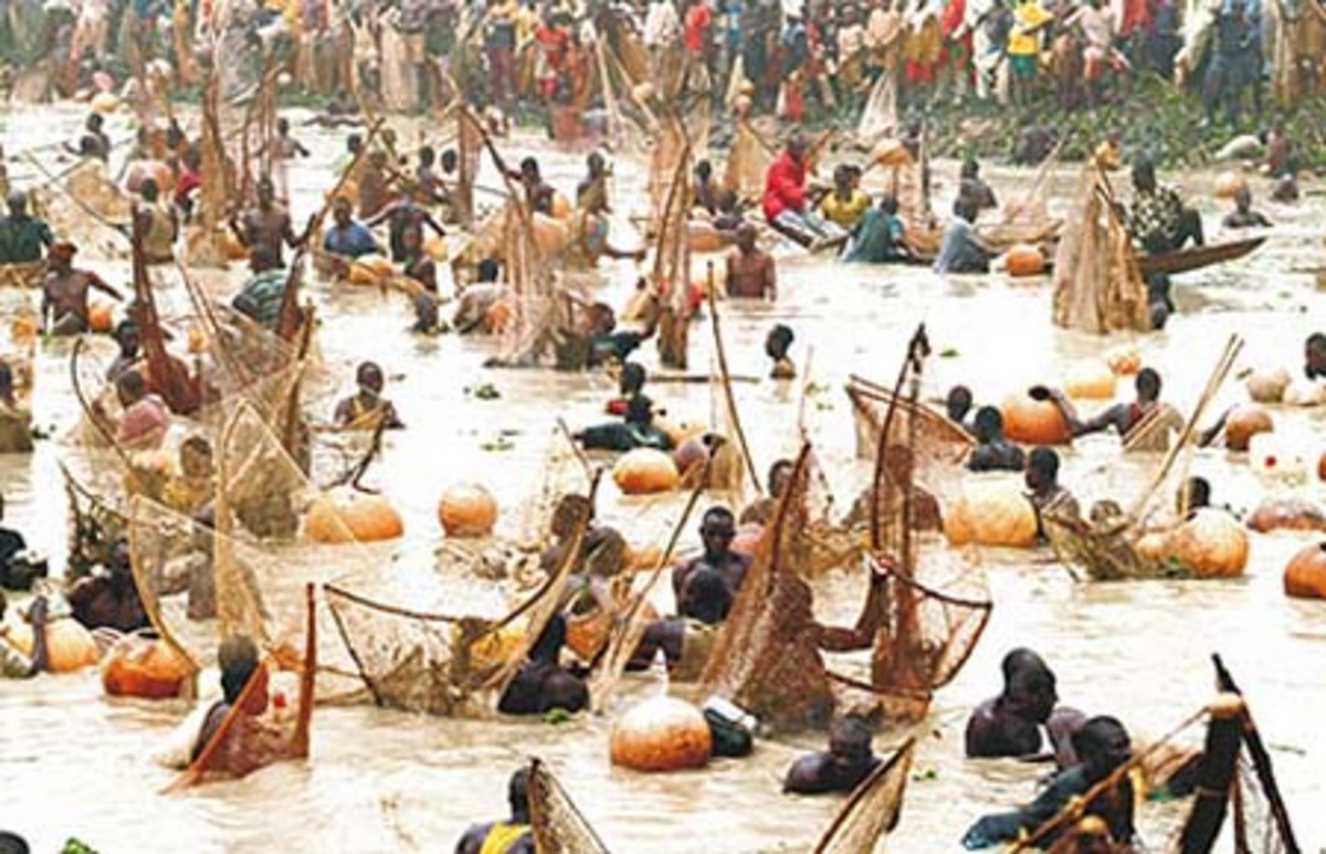 Argungu Fishing Festival- A festival of Extreme hand fishing, fun and ...