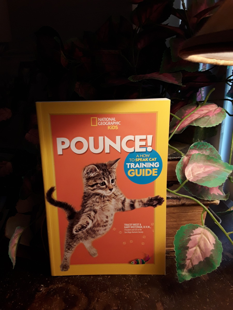 Dog and Cat Training Guides from National Geographic Kids Books - HubPages