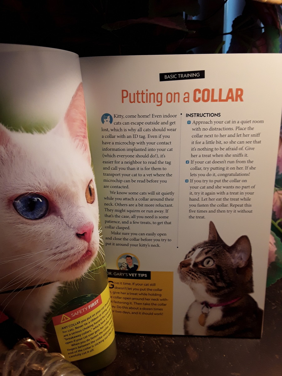 Dog and Cat Training Guides from National Geographic Kids Books - HubPages