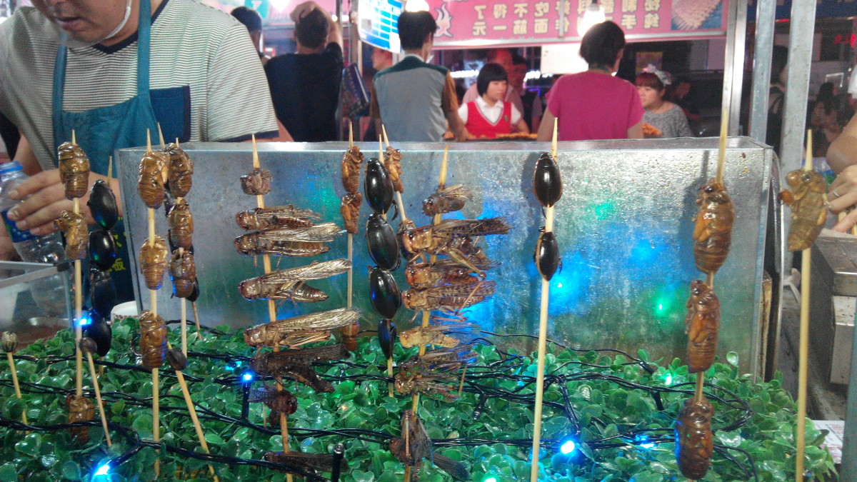 Shenyang food guide - What type of food to expect in Shenyang, China ...