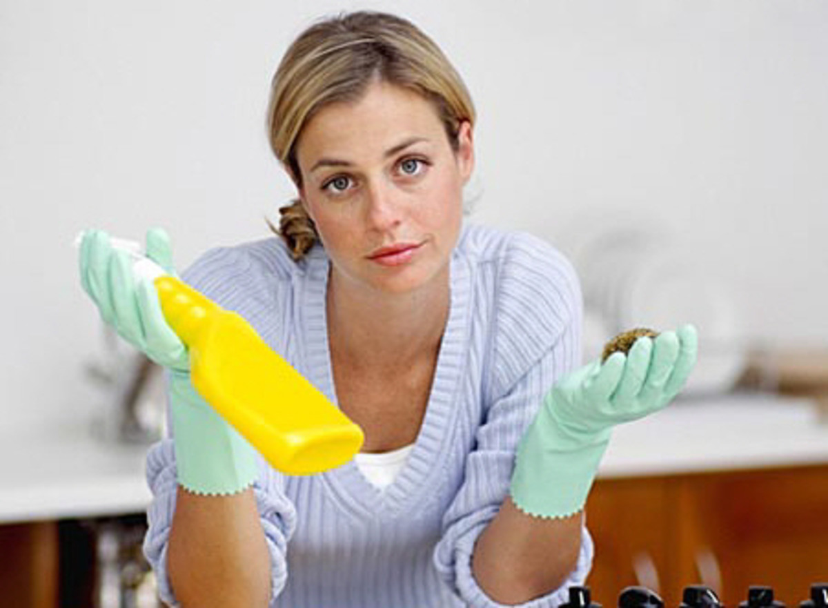 How to Start and Run a Profitable Home Cleaning Service - HubPages