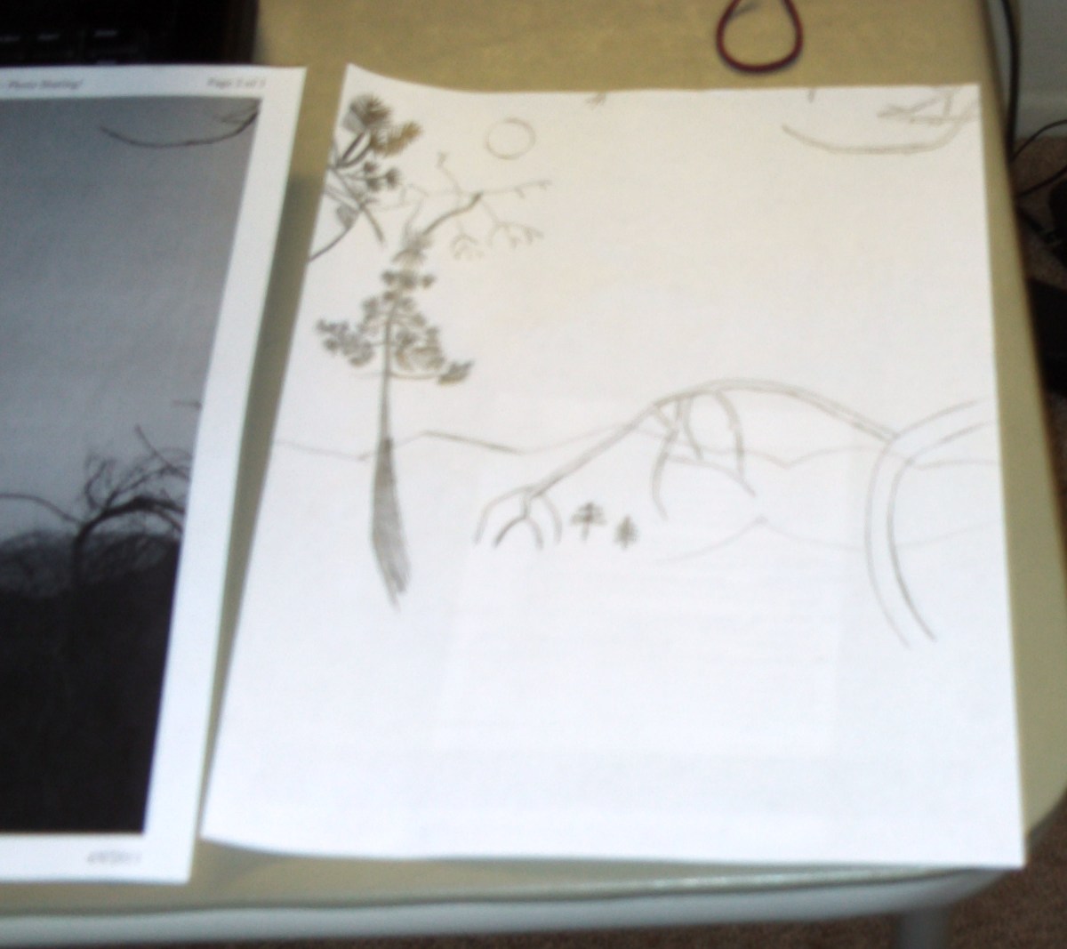 How to Draw a Forest Scene at Sunset - HubPages