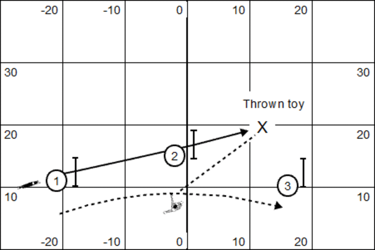 How to Train the "Out" Directional in Agility - Part Two in "The ...