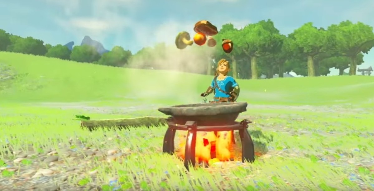 Top Tips For Zelda Breath Of The Wild at Elisa Champagne blog