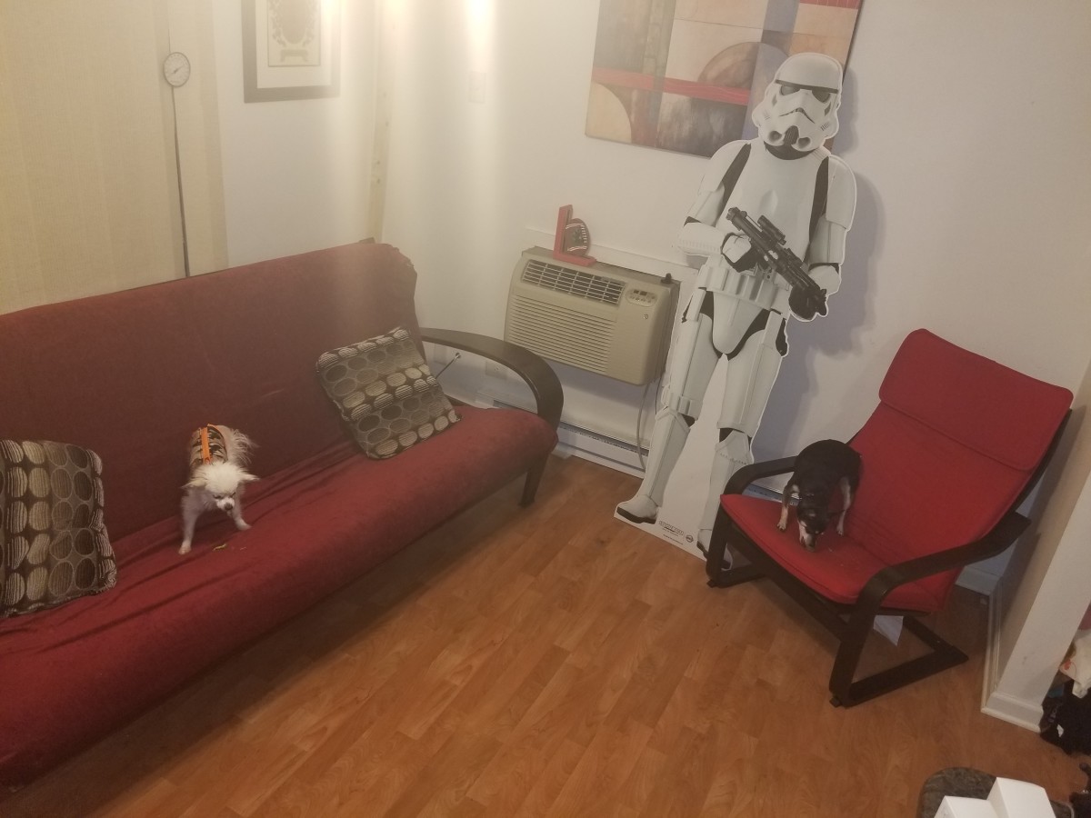 How a Divorced Dad Can Make His House a Home - HubPages