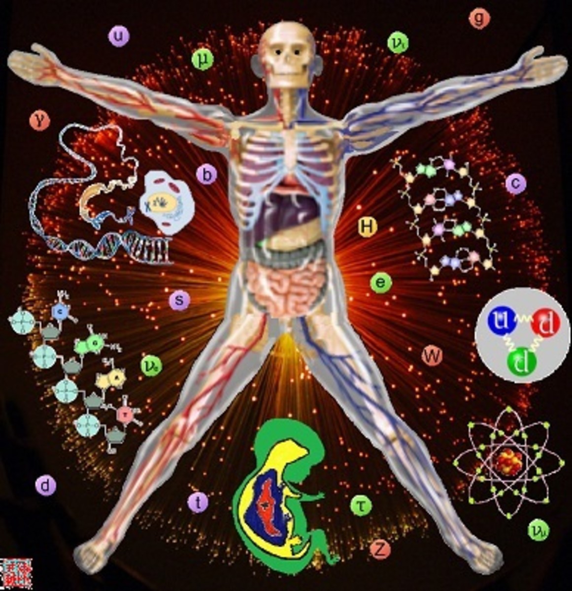 Life Science HubPages
