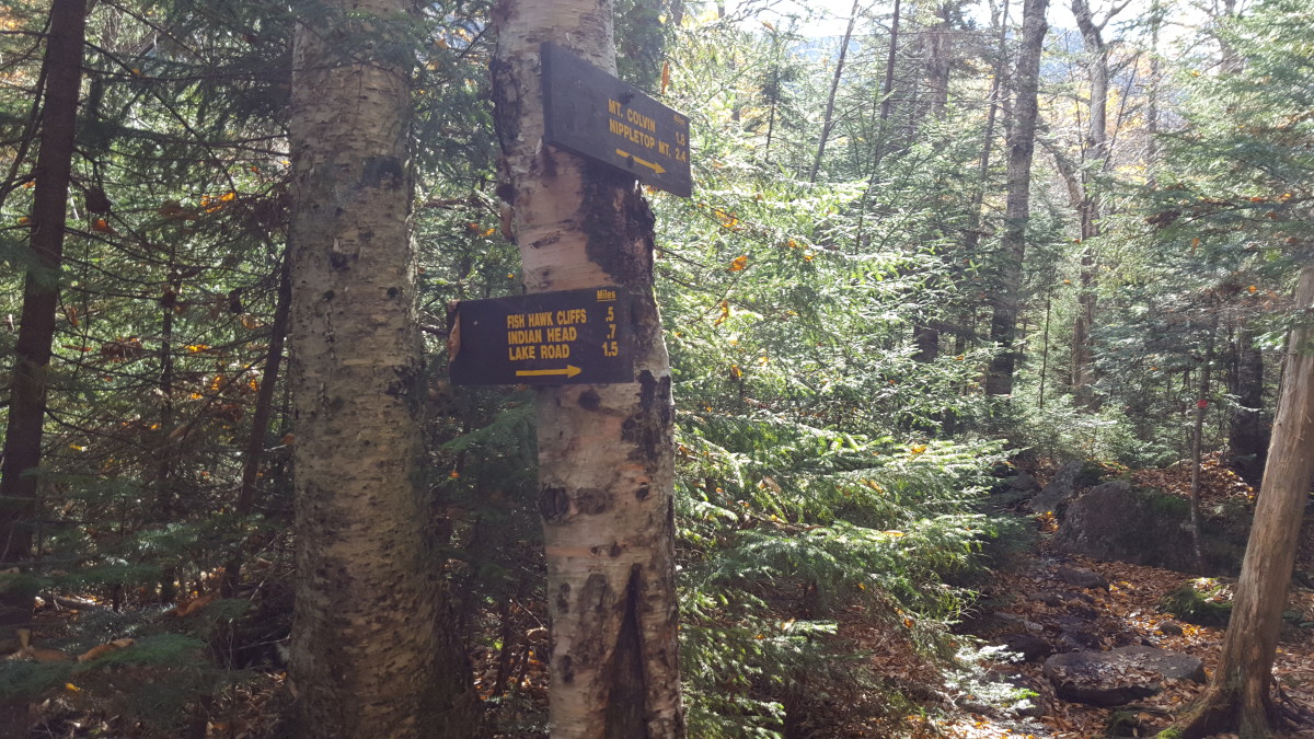 Adirondack Hike: Colvin and Blake - HubPages