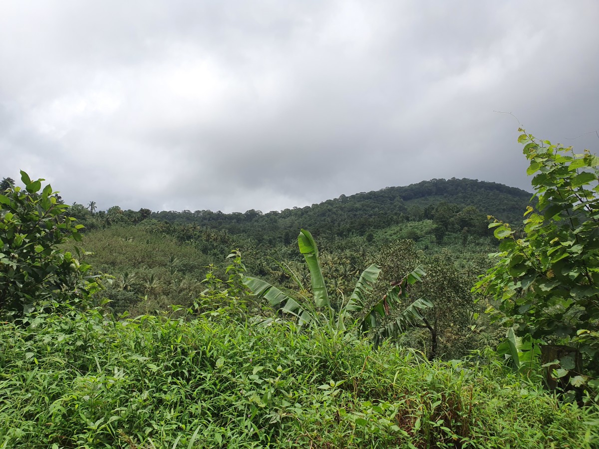 Vazhamala: An Unexplored Beauty - HubPages