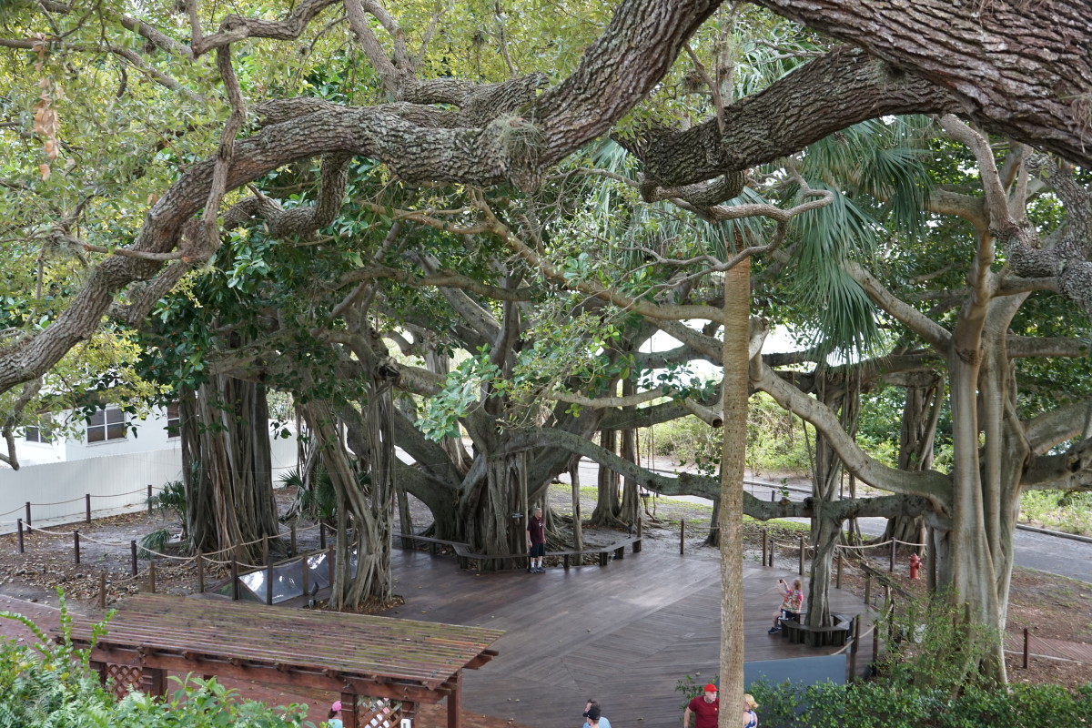 Jupiter Lighthouse Park Head To Jupiter For A Galactic Getaway