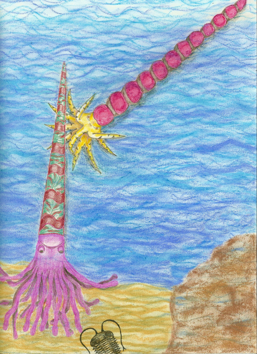 The Bravest Little Millipede's Historical Landing - HubPages