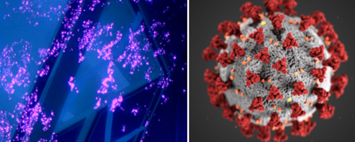 Why 2020 is (Like) the Real Third Impact - HubPages