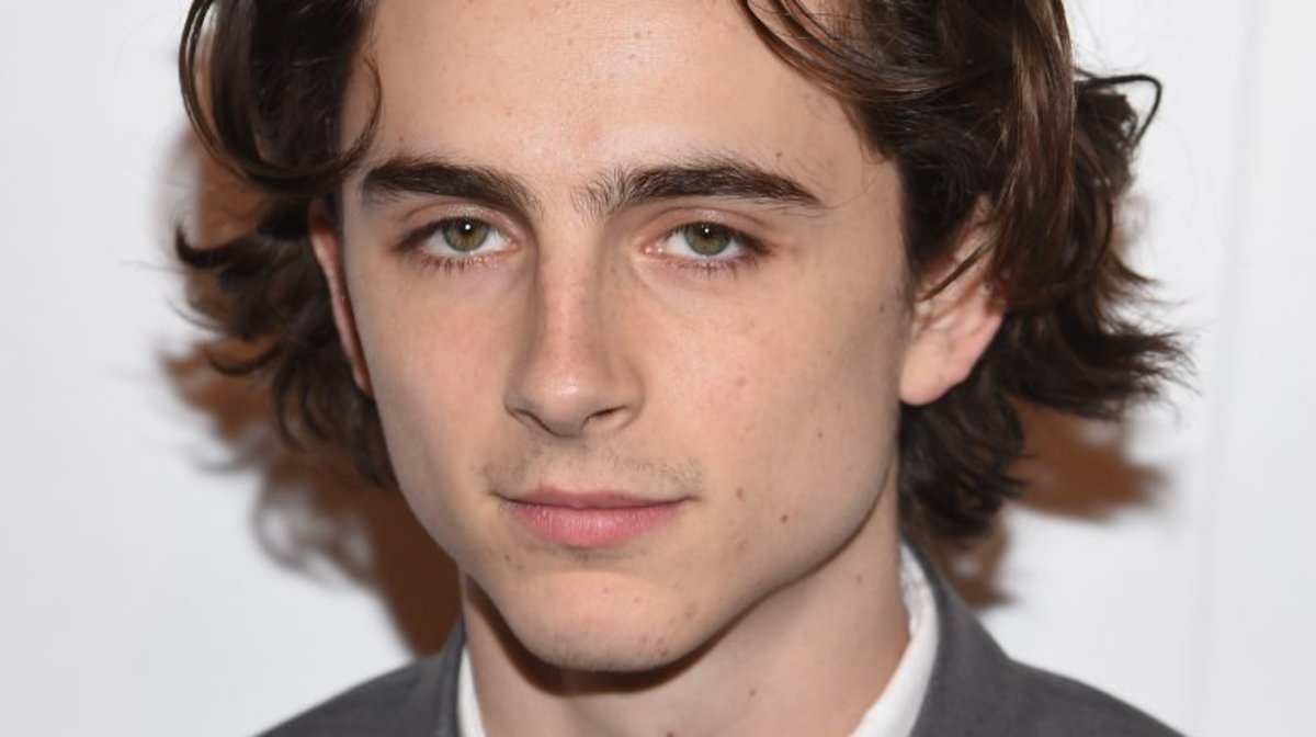 Who Is Timothee Chalamet of Call Me by Your Name? - HubPages