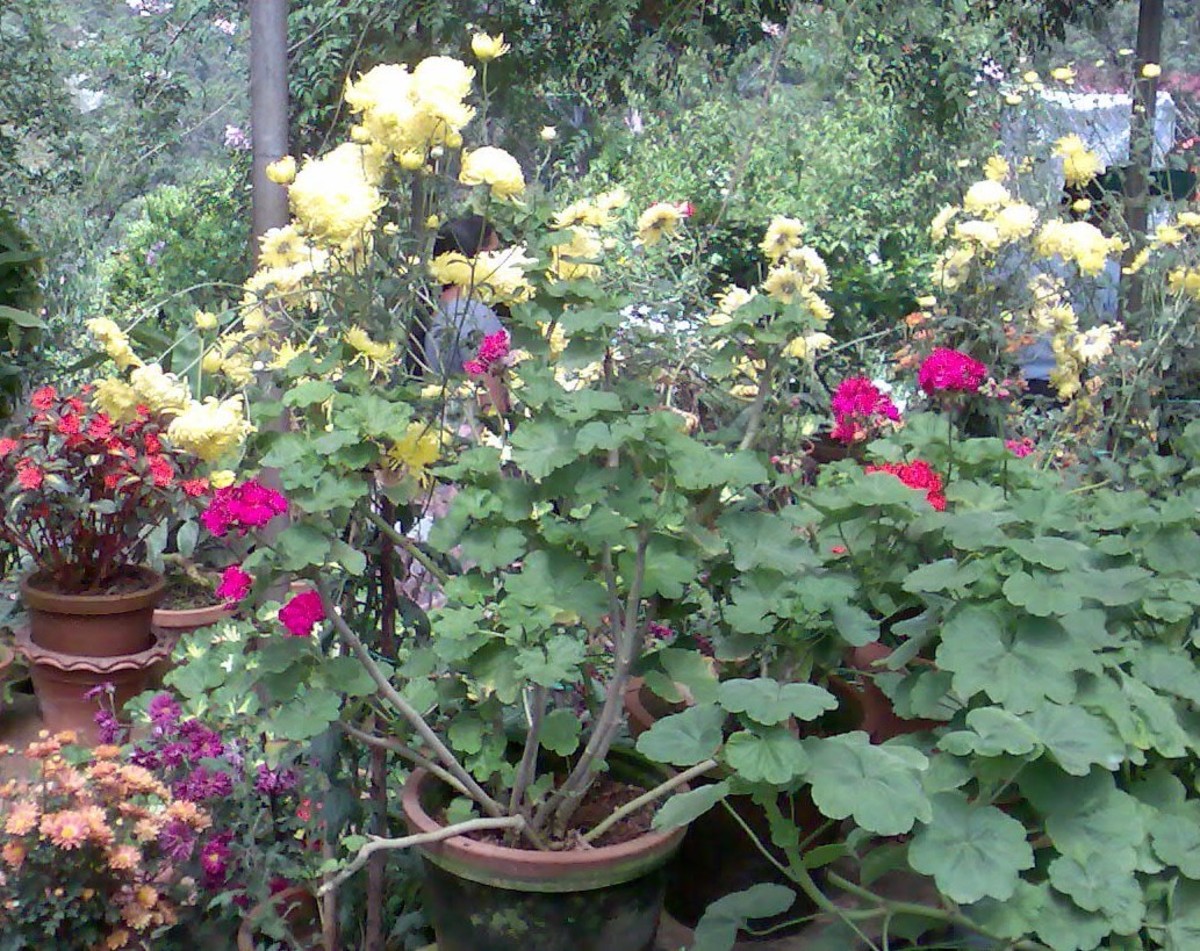 Let Us Reach Out - Poem - HubPages