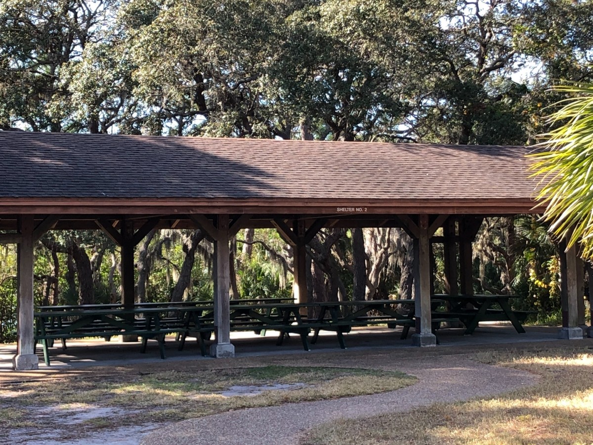 Fred Howard Park: Hidden Gem of Florida’s Gulf Coast - HubPages