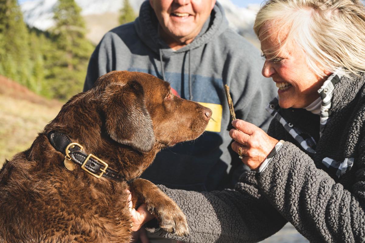 What To Know About Fatty Tumors Lipomas In Dogs PetHelpful