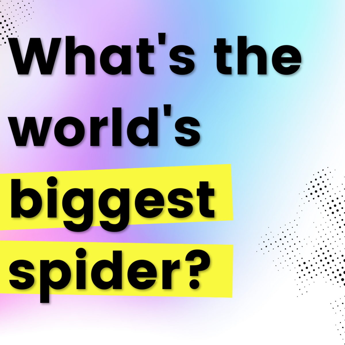 Fun Fact Trivia Questions For Adults Whether You Have A Science Buff