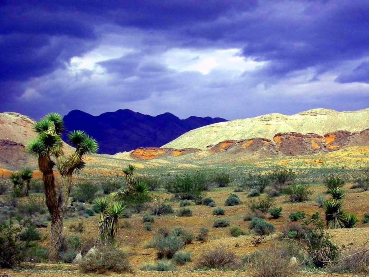 Terminologies of Zoogepgraphy, Paleaontology and Wildlife Management ...