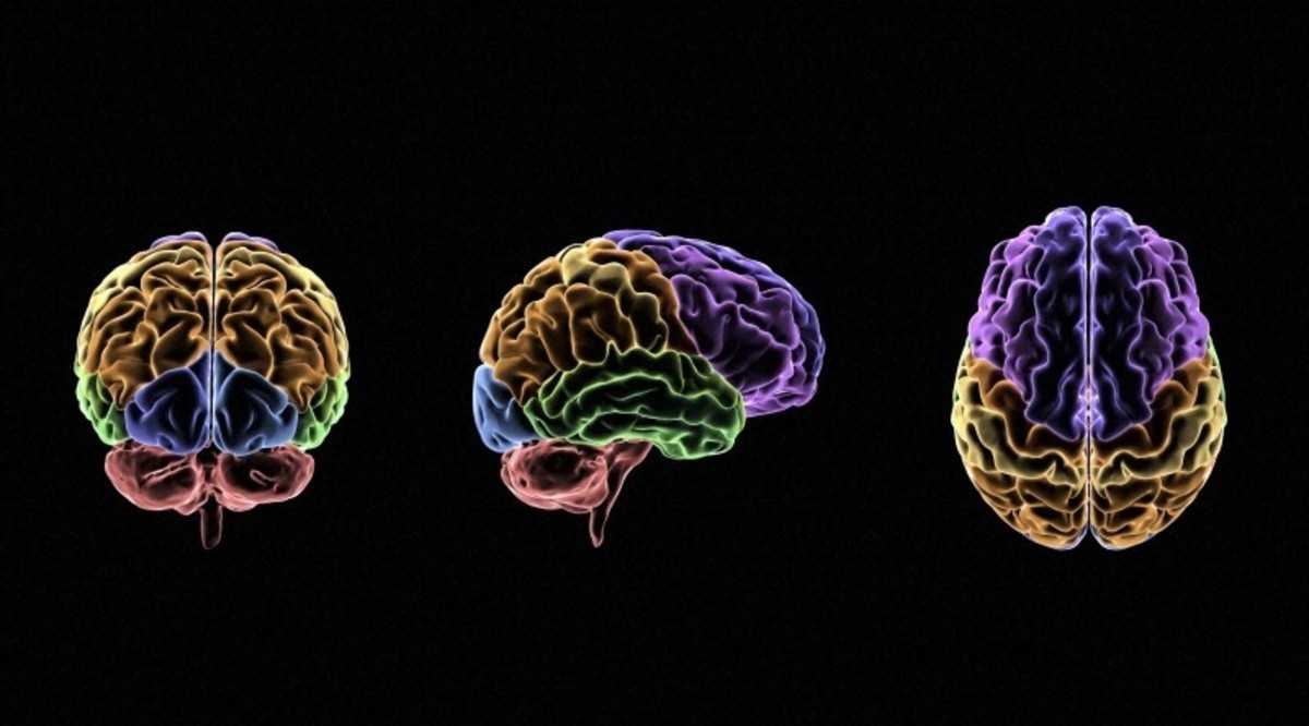 The Brain Behind All #1 - LetterPile