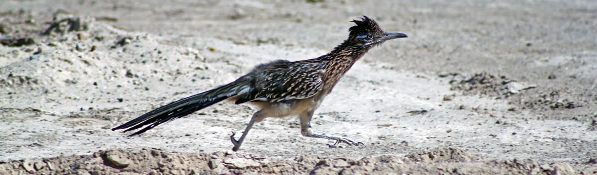 The Wonders of Death Valley - HubPages