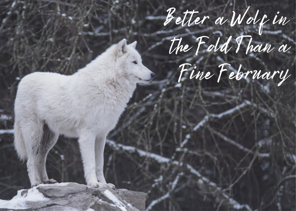 Common Winter Idioms, Adages, Quotes, Sayings and Proverbs - HubPages