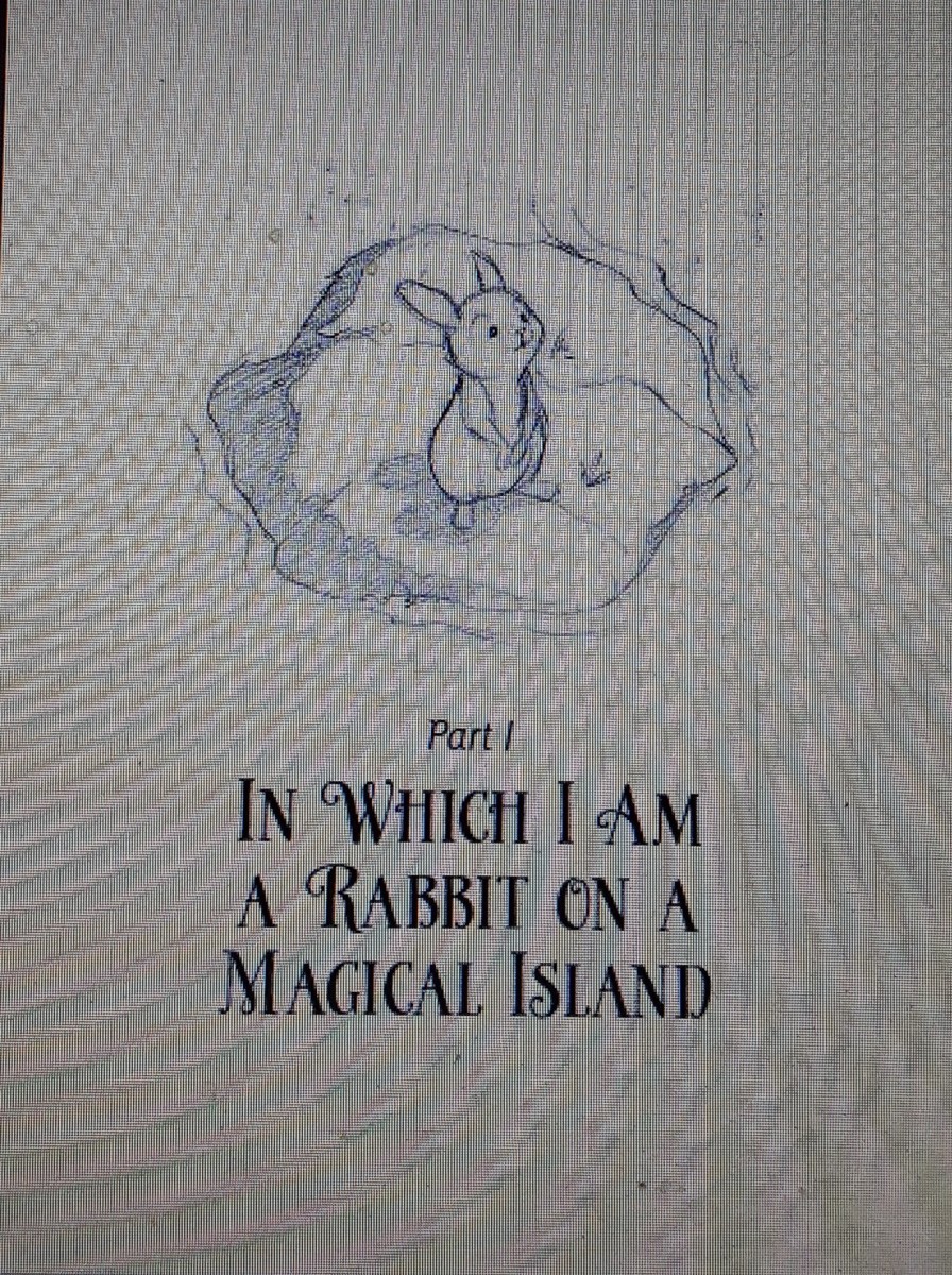 Rabbits, a Magician, and Lessons in Bravery and Family in Creative Tale ...