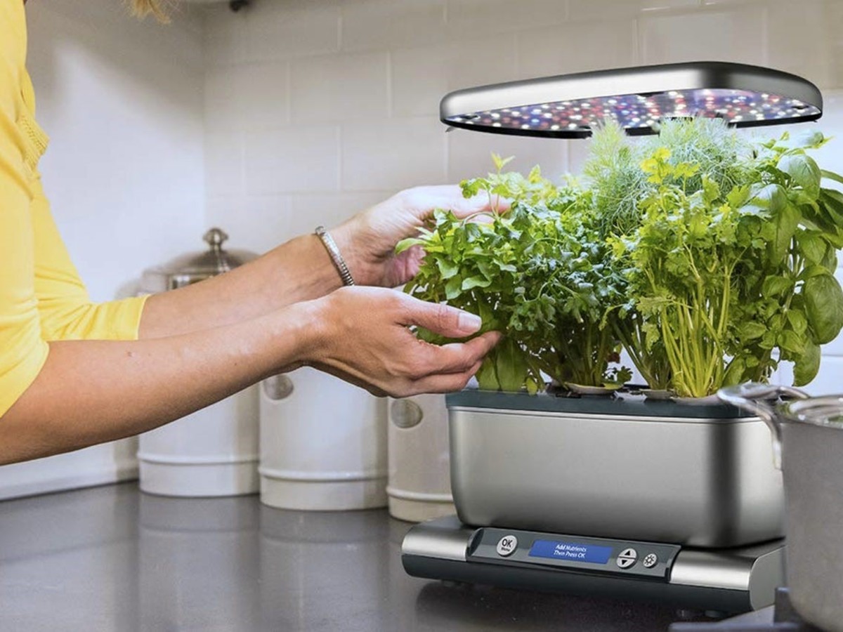 Must Have Grow Herbs at Home Kit - HubPages