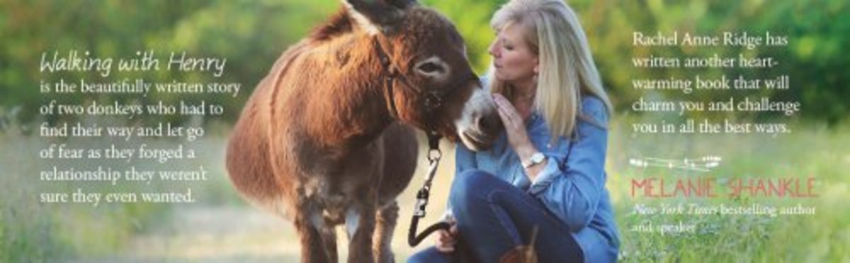 Walking With Henry by Rachel Anne Ridge - HubPages