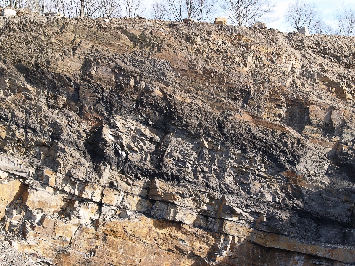 Coal Tar, Pavement Sealer, and PAHs: Facts and Potential Dangers - HubPages