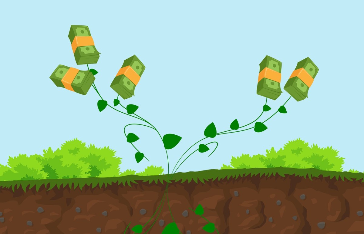 Money Tree Poems