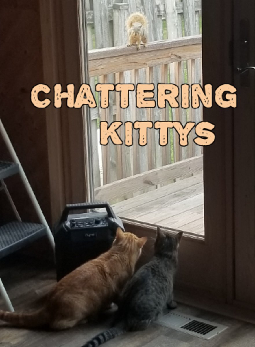 Poem: Chattering Kittys - HubPages