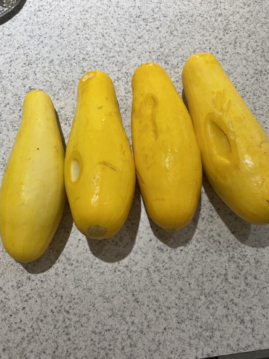 An Honest Review of Front Door Produce Delivery Service - HubPages
