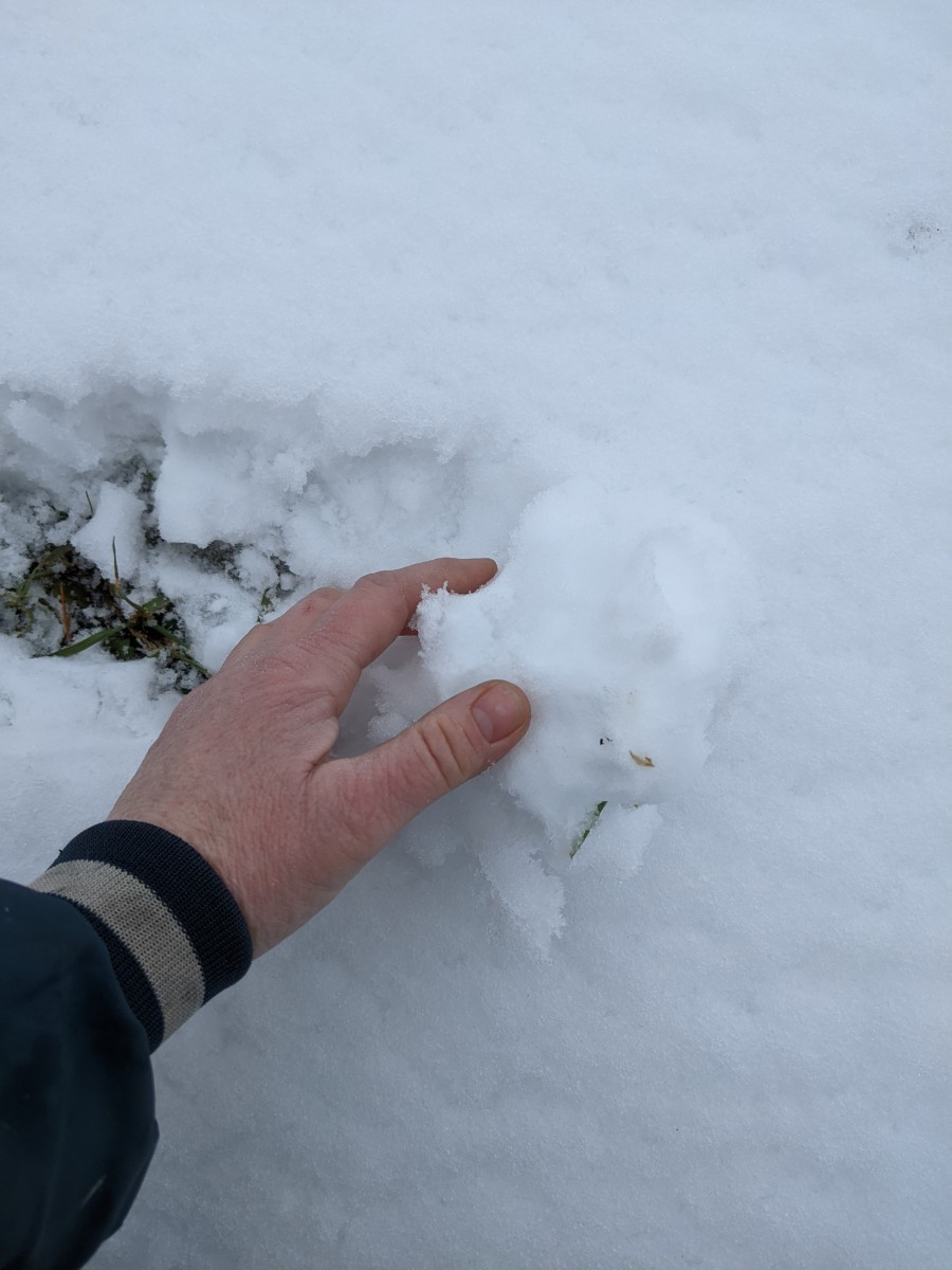 Snowman Building in a Minnesota Winter - HubPages