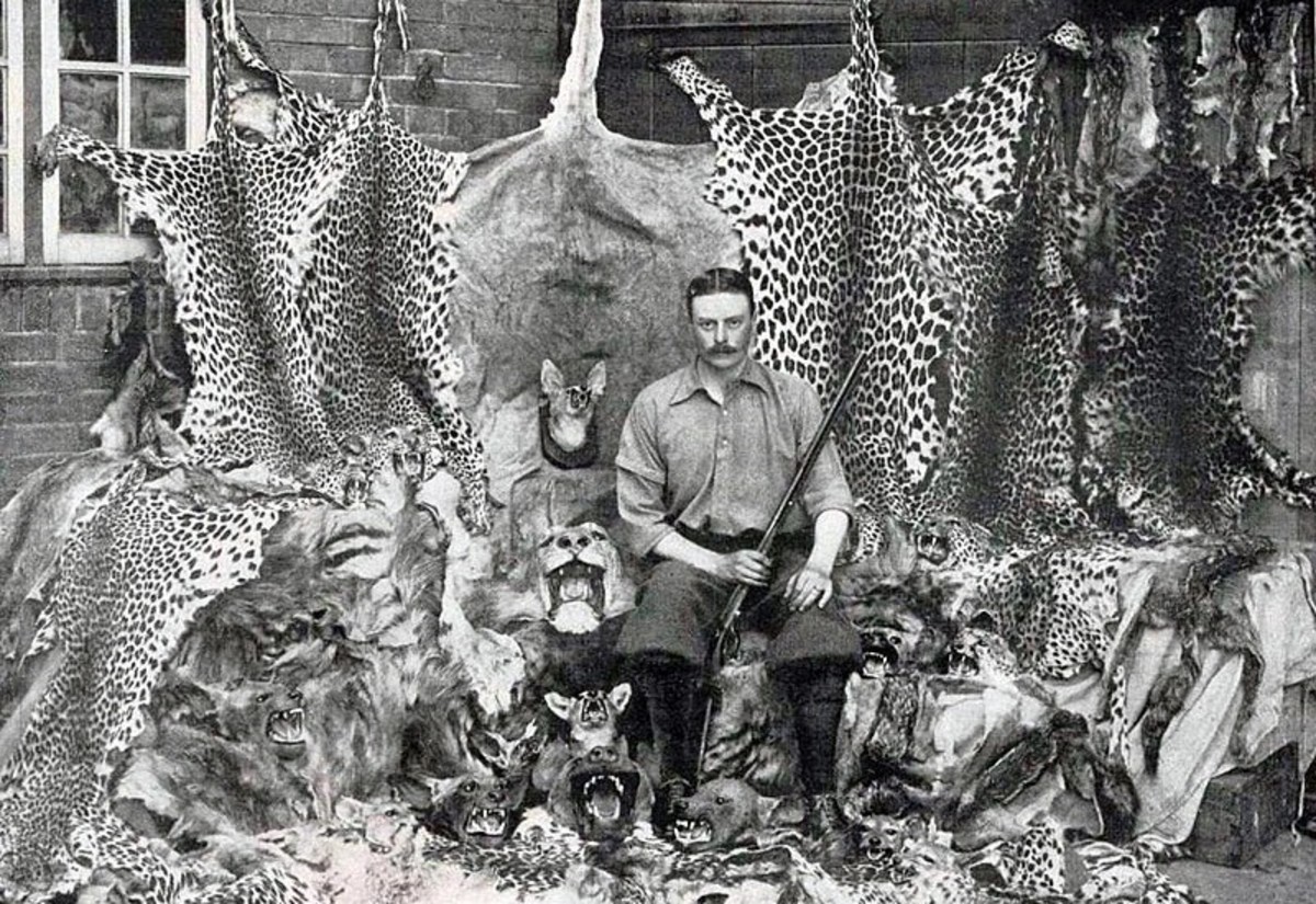 Hunting - yes or no, when and how? - HubPages