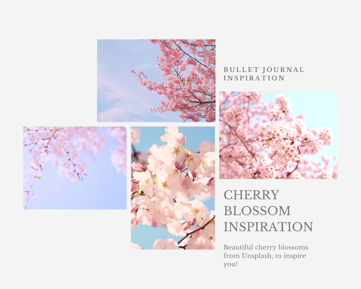 How to Create a Cute and Aesthetic Bullet Journal: The Ultimate Guide ...