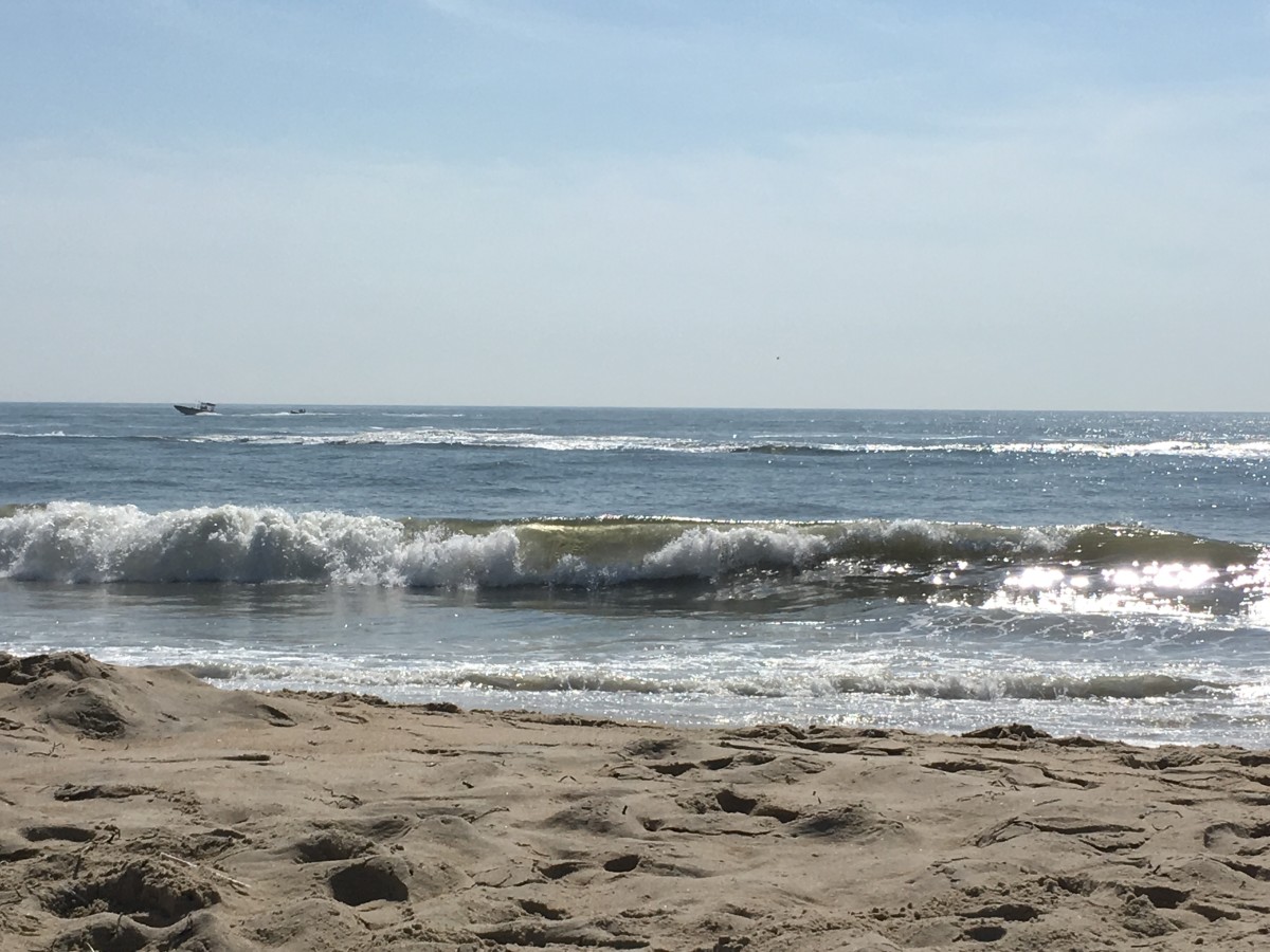 Seasonal Cover Photos for Facebook: Spring and Summer Edition - HubPages